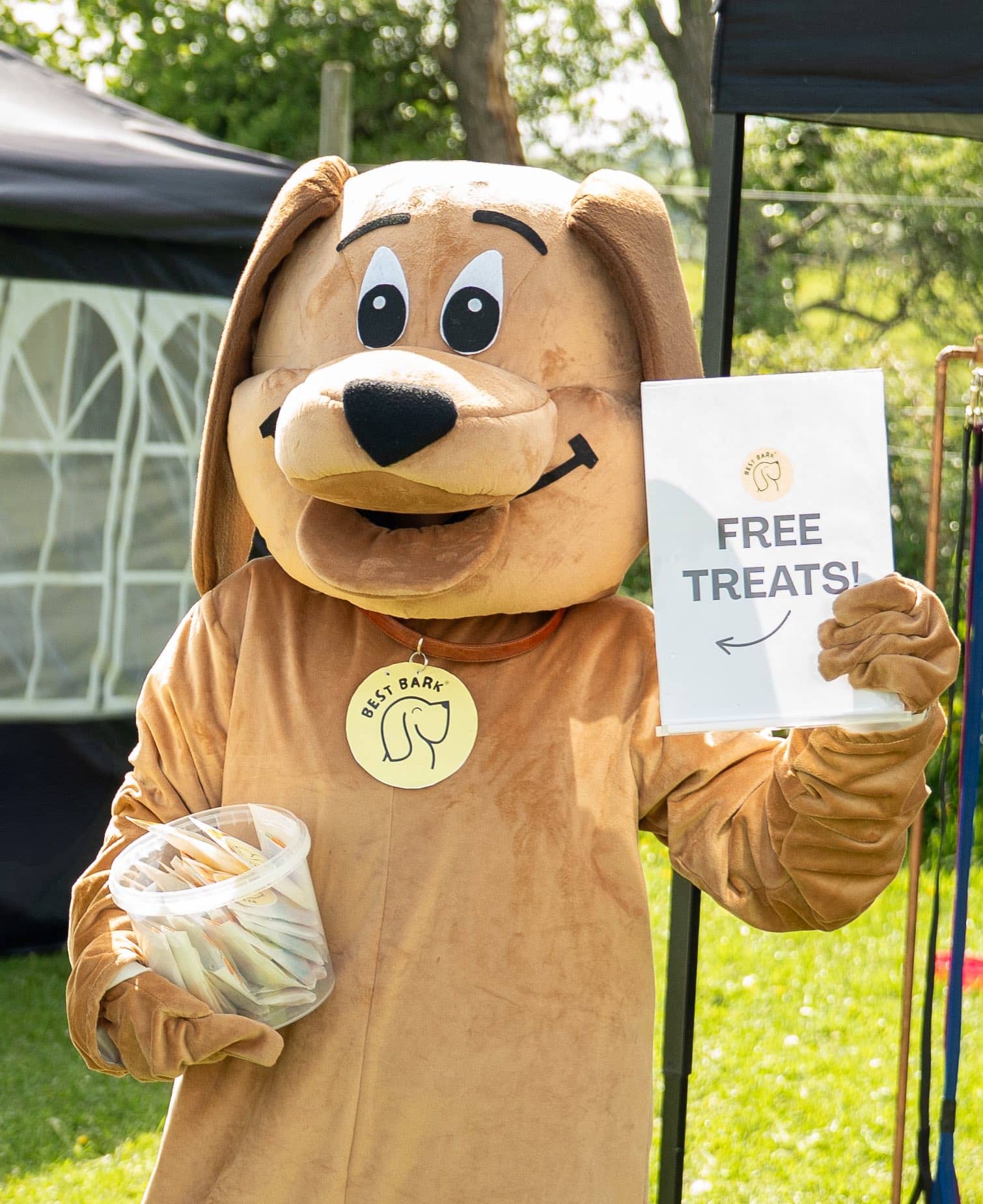 Home - Best Bark - Dog Friendly Belfast Resource
